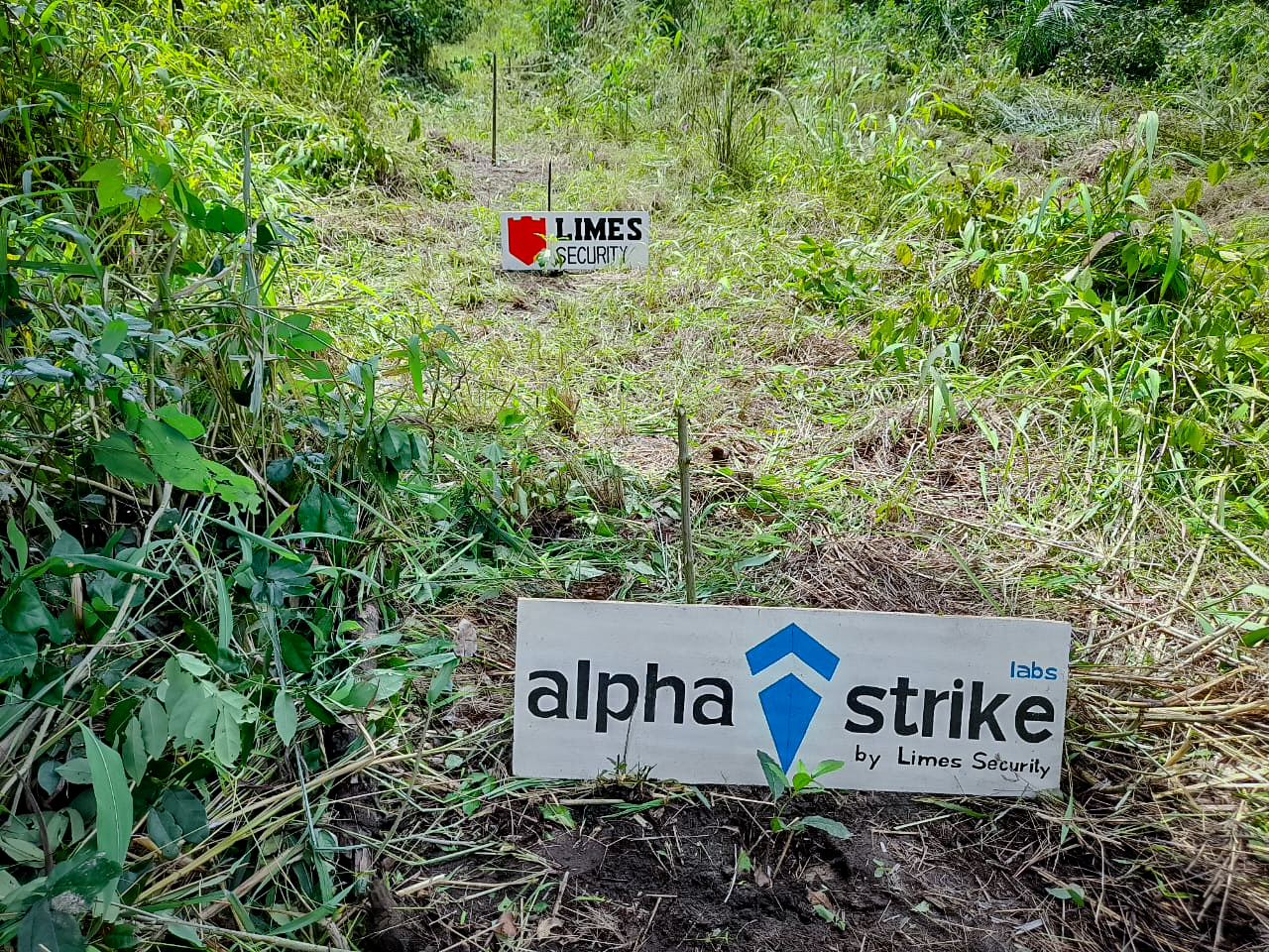 Sustainable Christmas – 1000 trees for PROJECT TOGO – Limes Security